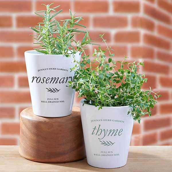 Yuma Main Library Plant your own kitchen herb garden - Family Friendly ...